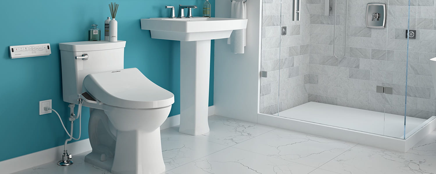 Bidet Toilets